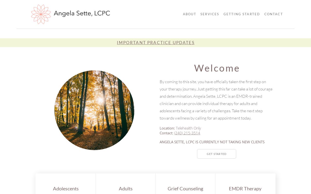 Frederick, MD Counseling Services - Angela Sette, LCPC
